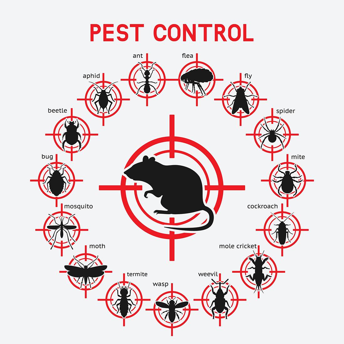 How Long Pest Control Lasts - Eastern-Burkholder Exterminators Inc